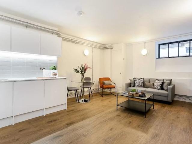 1 bedroom apartment