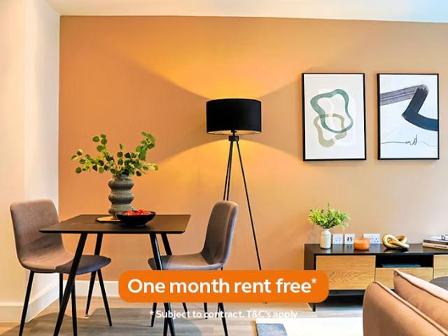 1 bedroom apartment