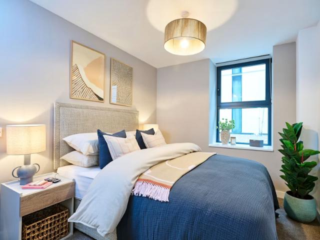 1 bedroom apartment
