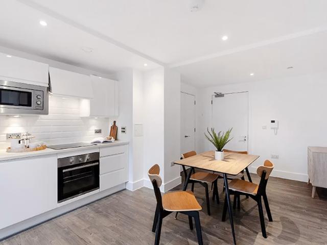 1 bedroom apartment