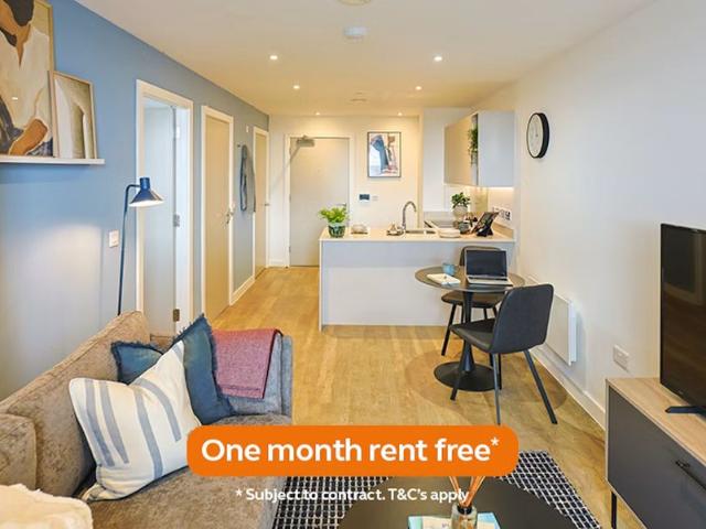 1 bedroom apartment