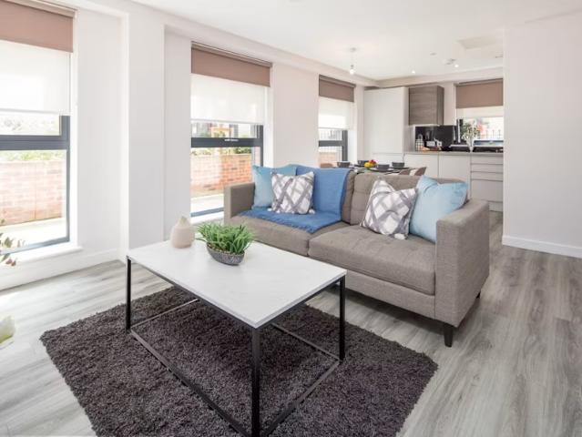 1 bedroom apartment
