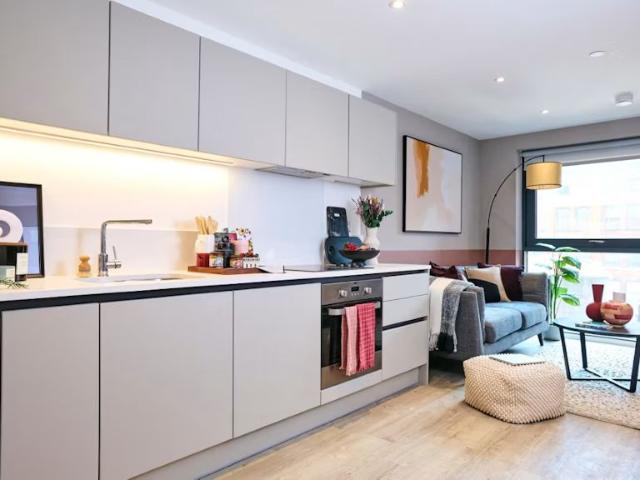 1 bedroom apartment