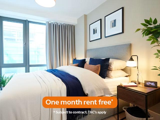 1 bedroom apartment