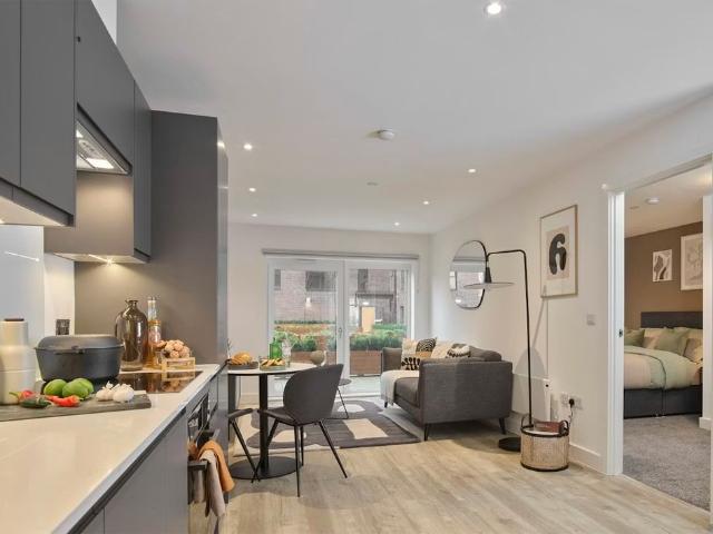 1 bedroom apartment
