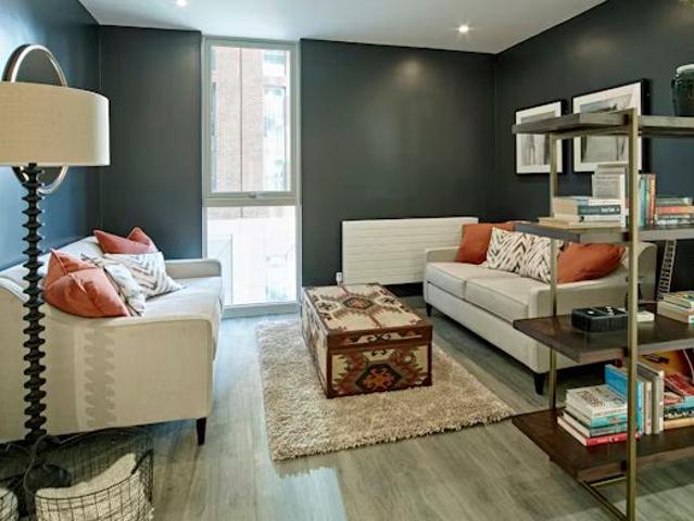 1 bedroom apartment