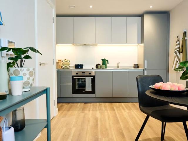 1 bedroom apartment