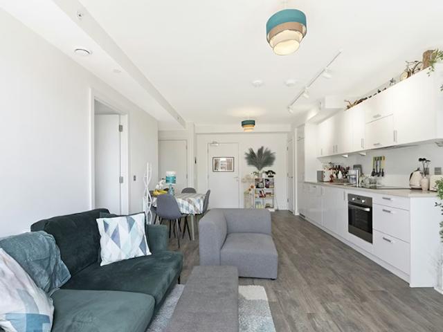 1 bedroom apartment