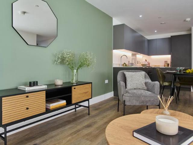 1 bedroom apartment
