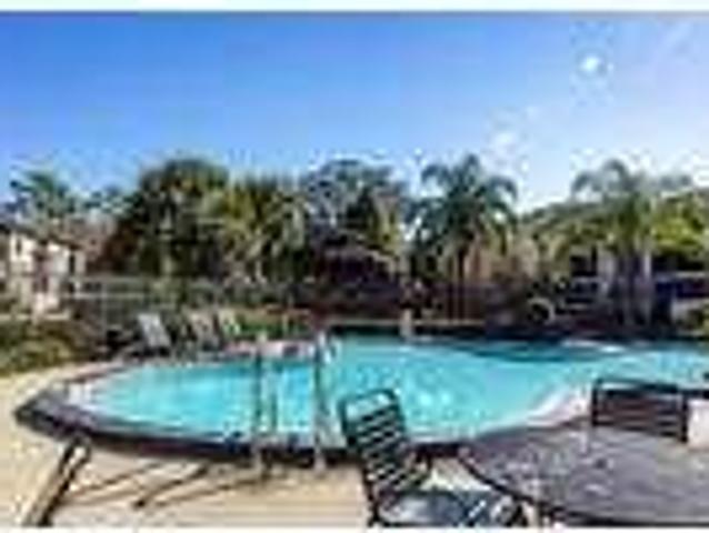 1 Bedroom Apartments For Rent Tampa FL