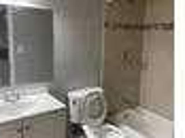 1 Bedroom Apartments For Rent Tampa Florida