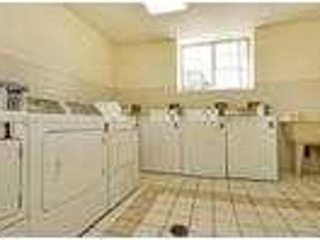 1 Bedroom Apartments For Rent Tuckahoe New York
