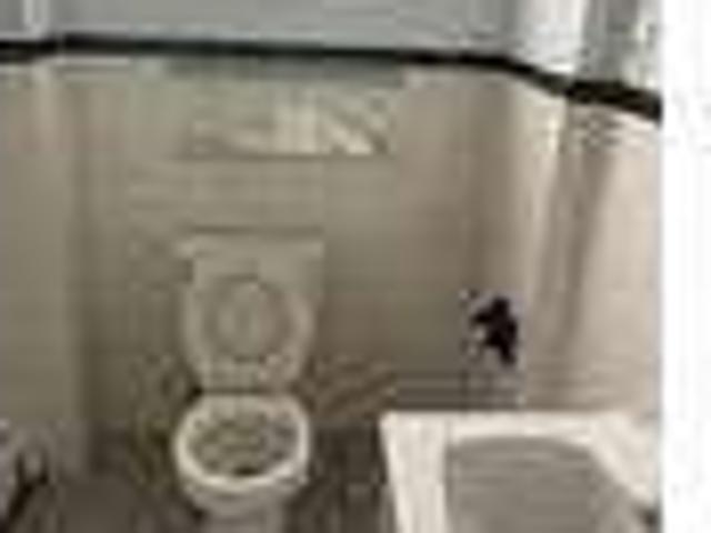 1 Bedroom Apartments For Rent Mount Vernon New York