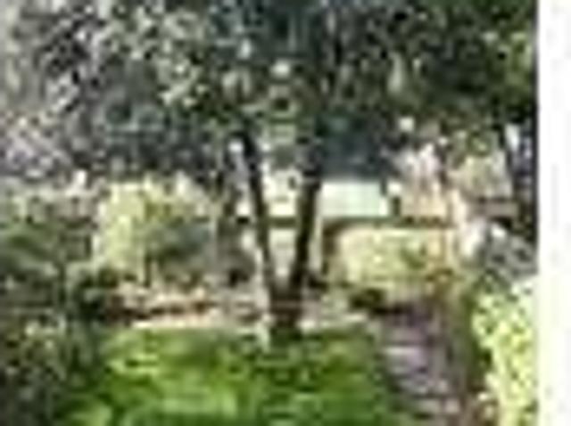 1 Bedroom Apartments For Rent San Francisco CA
