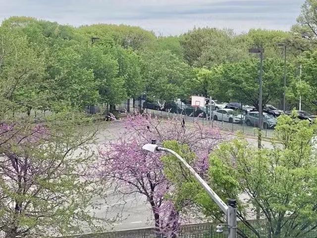 1 Bedroom at 448 W 167th Street for $2,850 by Ram Yariv