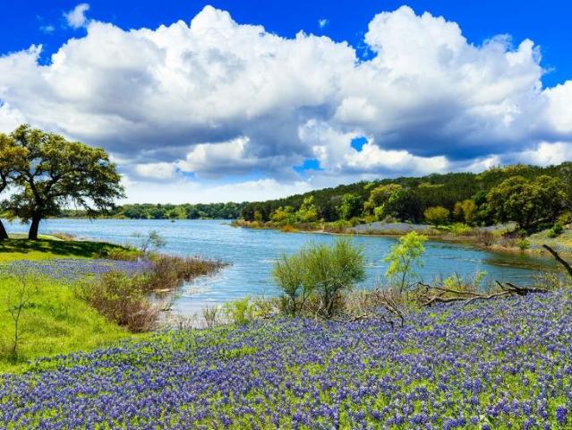 1 bedroom, Austin TX 78641 LS72351385