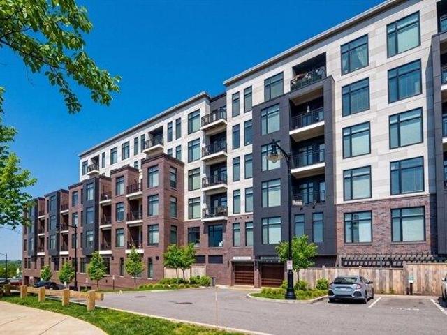 1 bedroom, Boston MA 02135 102061658