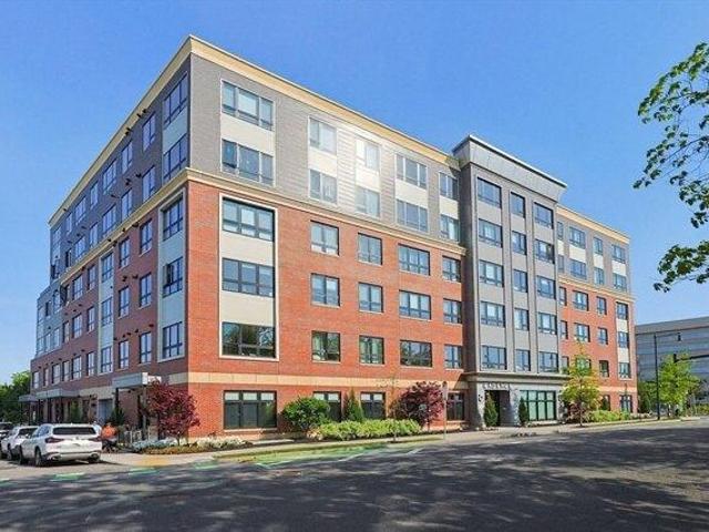 1 bedroom, Boston MA 02135 103967396