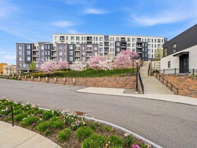 1 bedroom, Boston MA 02135 104482134