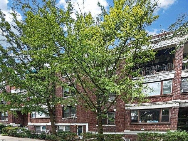 1 bedroom, Boston MA 02135 104568535