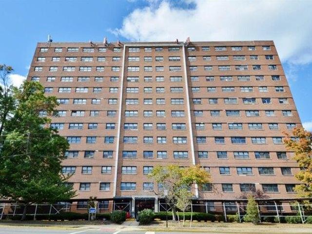 1 bedroom, Bayonne NJ 07002 104719913