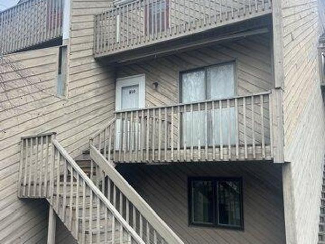 1 bedroom, Bridgeport CT 06606 101899575