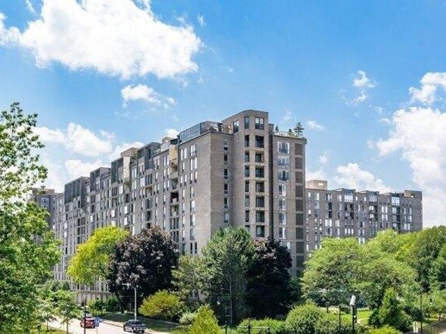 1 bedroom, Brookline MA 02445 103184556