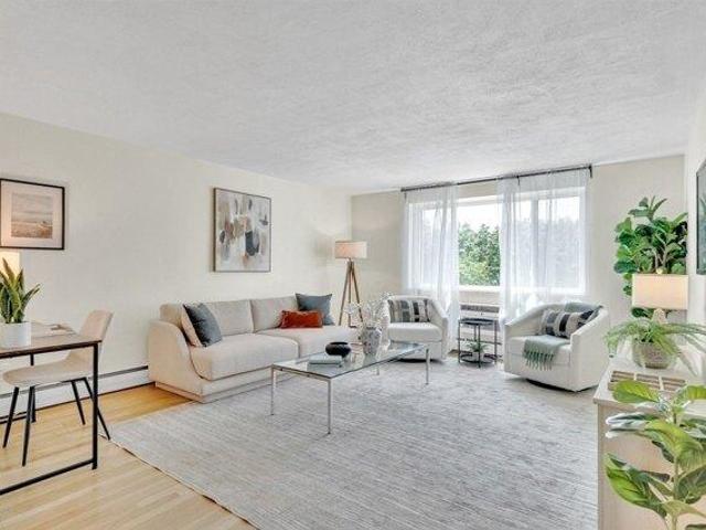 1 bedroom, Brookline MA 02446 103929278
