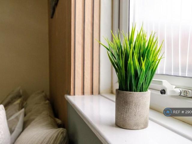 1 bedroom bungalow to rent