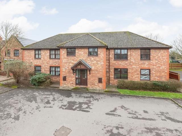 1 bedroom ground flat to rent