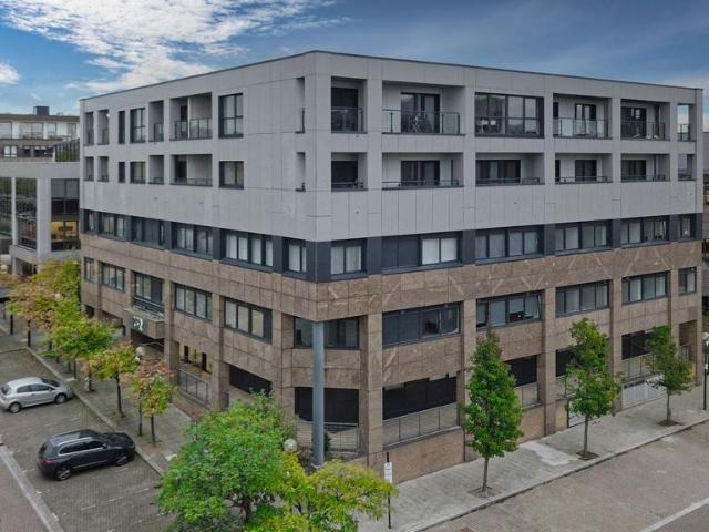 1 bedroom ground flat to rent
