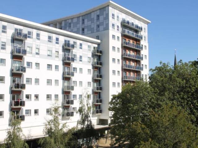 1 bedroom ground flat to rent