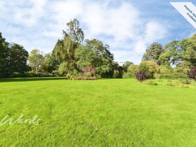 1 bedroom ground flat to rent