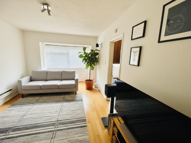 1 bedroom ground flat to rent