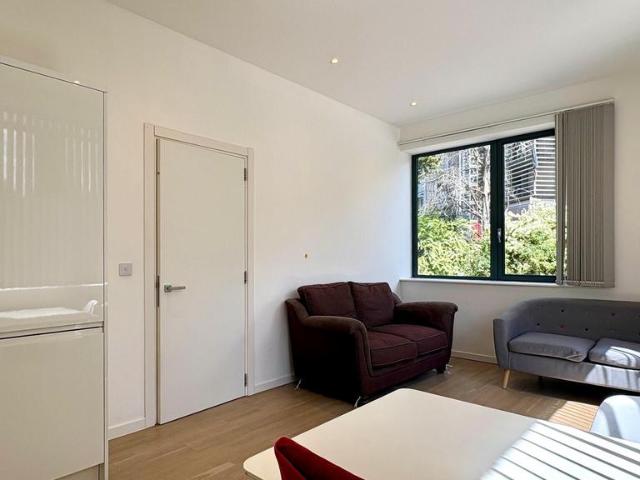 1 bedroom ground flat to rent