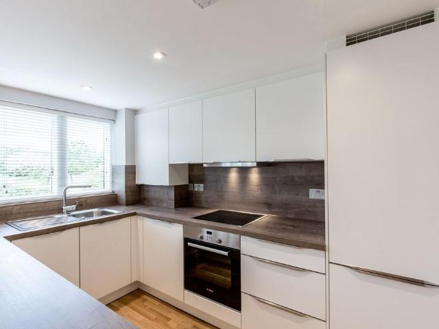 1 bedroom ground flat to rent