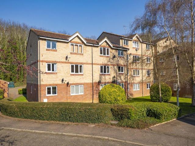 1 bedroom ground flat to rent