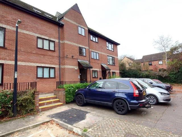 1 bedroom ground flat to rent