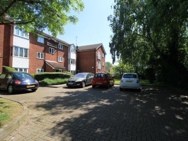 1 bedroom ground flat to rent