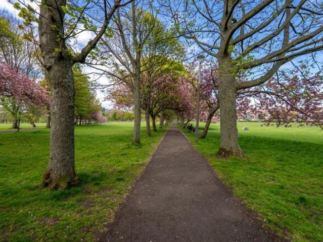 1 bedroom ground floor flat for sale in 22/1 Livingstone Place, Marchmont, Edinburgh, EH9 1PD, EH9