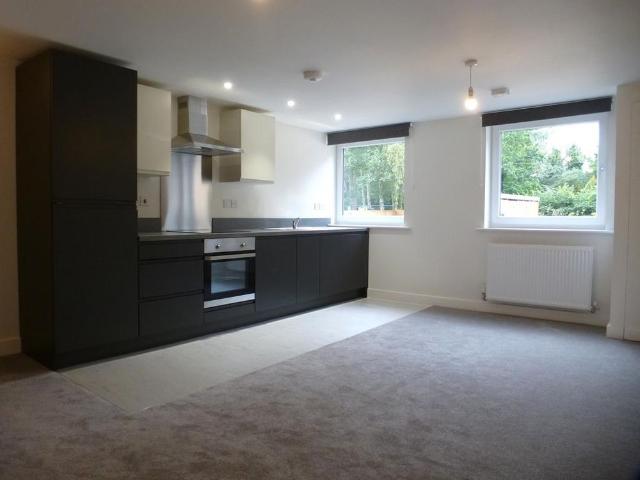 1 bedroom ground floor flat to rent