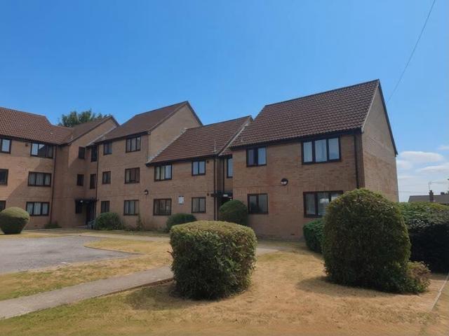 1 bedroom ground floor flat to rent