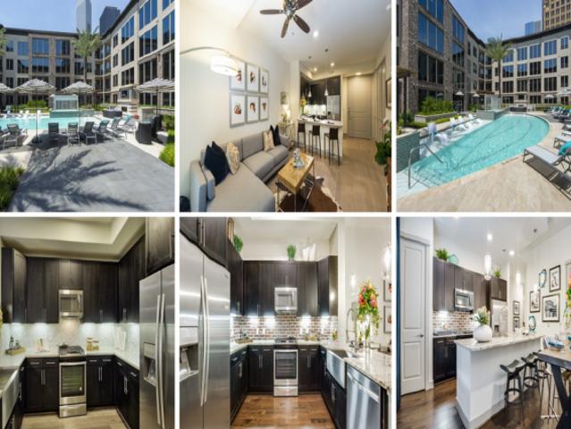 1 bedroom, Downtown Houston TX 77002 LS77109239