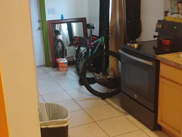 1 bedroom, Davie FL 97420238