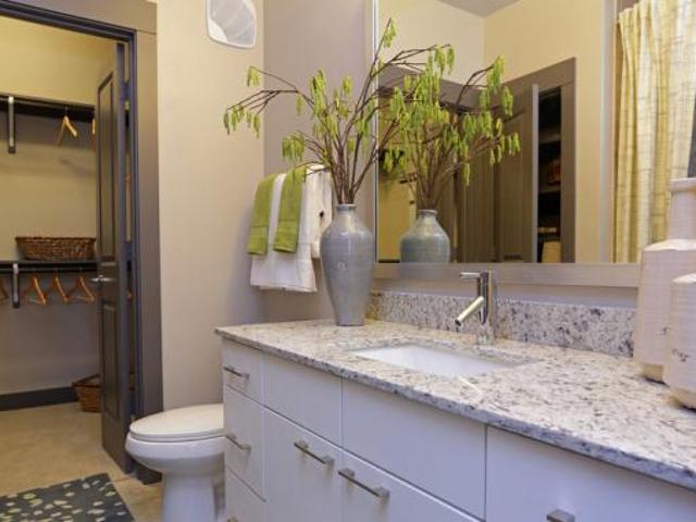 1 bedroom, Dallas TX 75219 77115234