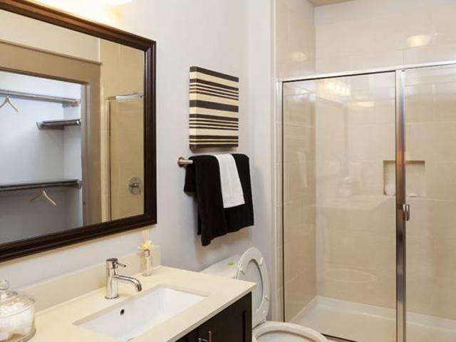 1 bedroom, Dallas TX 75235 77115504