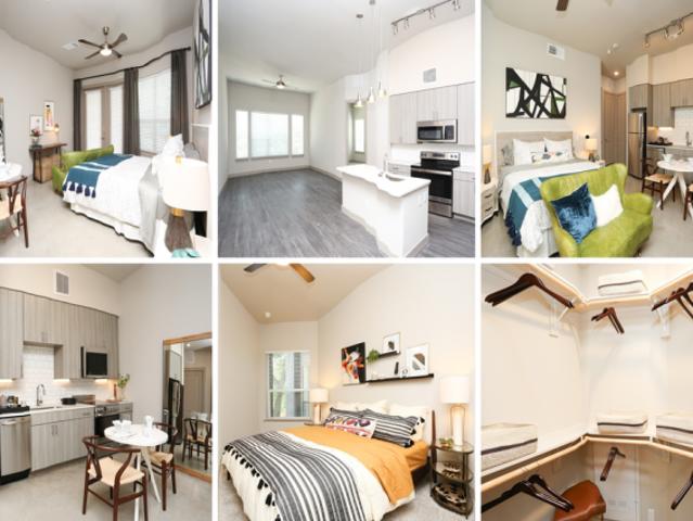 1 bedroom, East Austin TX 78702 77109515