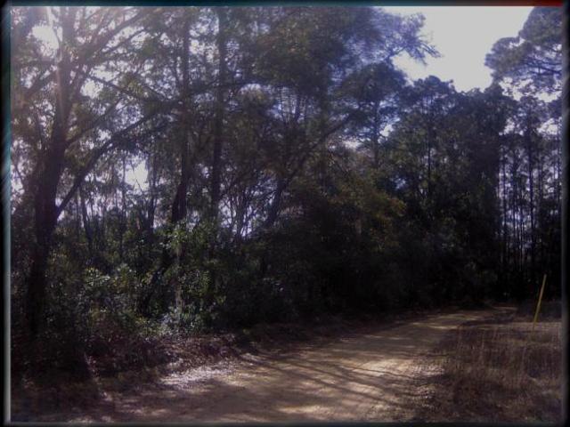 1 bedroom, Fort McCoy FL 32134 78116543