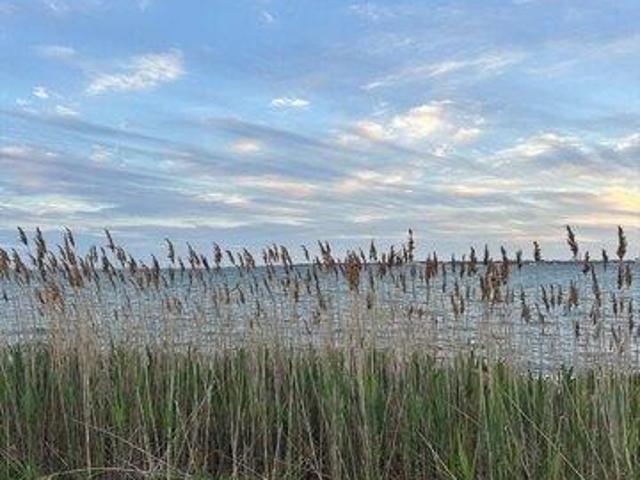1 bedroom, Fairhaven MA 02719 103969485