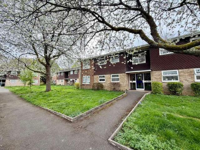 1 Bedroom Flat